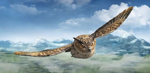 Wild Owl Simulator 3D Android App