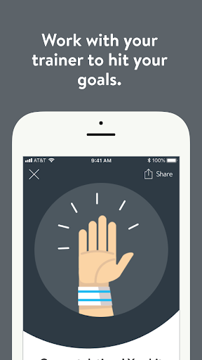 Team Zizzo for PC / Mac / Windows 11,10,8,7 - Free Download - Napkforpc.com