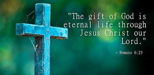 The Message Bible Study (MSG Bible) Android App