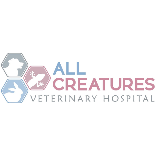 All Creatures Vet Hospital - Apps on Google Play