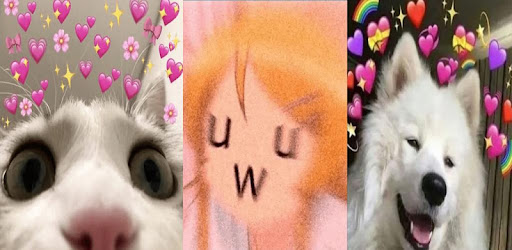 💖 Uwu Stickers : uwu Love y Anime WastickerApps Android App