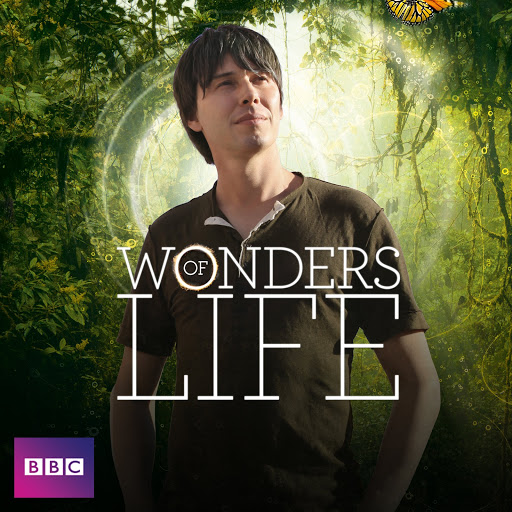 Wonders of Life - TV on Google Play