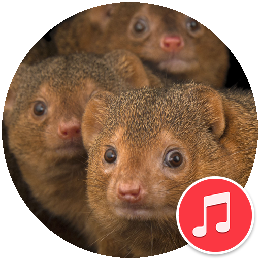 Mongoose Sounds - Apps on Google Play