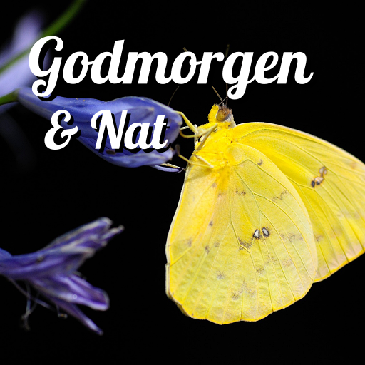 Danish Morning & Night Greets - Apps on Google Play