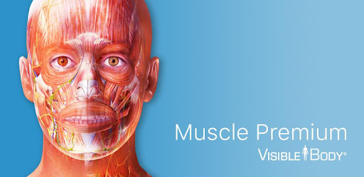 Muscle Premium - Human Anatomy, Kinesiology, Bones Android App