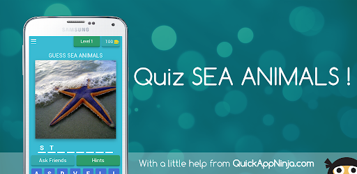 GUESS SEA ANIMALS ! Android App