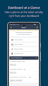 Capital one intellix store