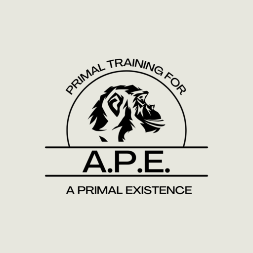 APE Fitness for PC / Mac / Windows 11,10,8,7 - Free Download ...
