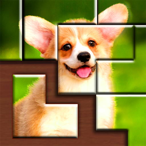 Jigsaw Puzzles Blocks – Apps on Google Play
