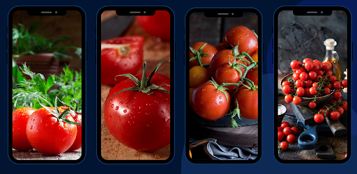Tomato Wallpapers Android App