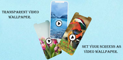 Transparent Screen Wallpaper Android App