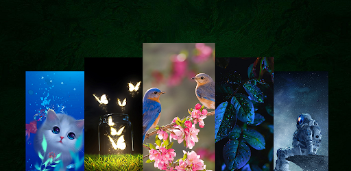 Wallpaper HD Background Android App