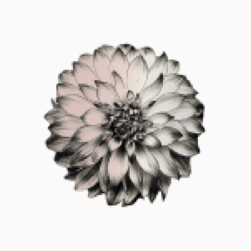 Blossom - Apps on Google Play