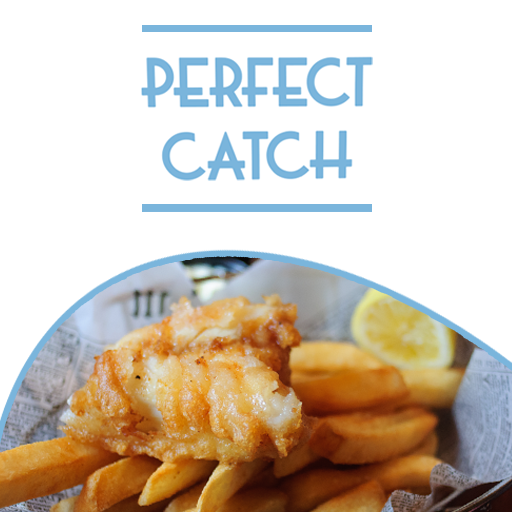 Perfect Catch - Apps on Google Play
