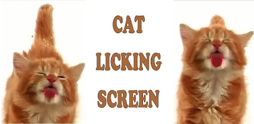 Cat Licking Screen Android App
