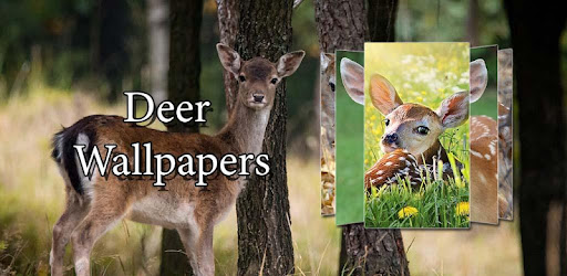 Deer Wallpapers Android App