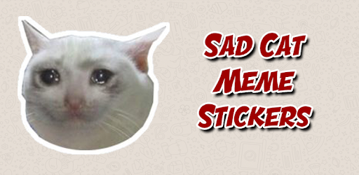 Sad Cat Stickers - WAStickerApps Android App