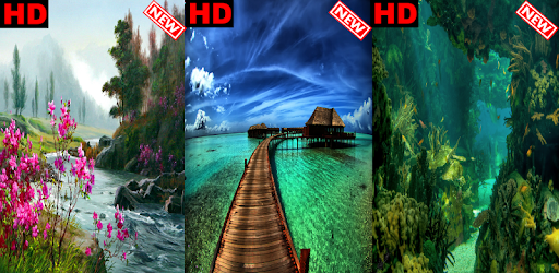 Cool Wallpapers Android App