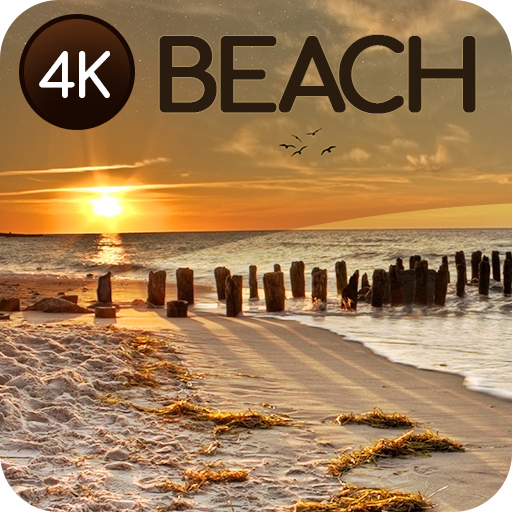 Wallpapers with beaches - Apps on Google Play