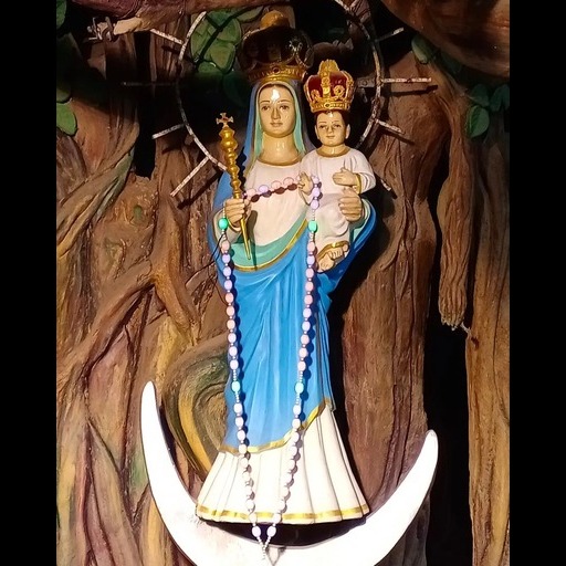 Velankanni Shrine,Besant Nagar - Apps on Google Play