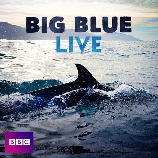 Big Blue Live - Google Play TV