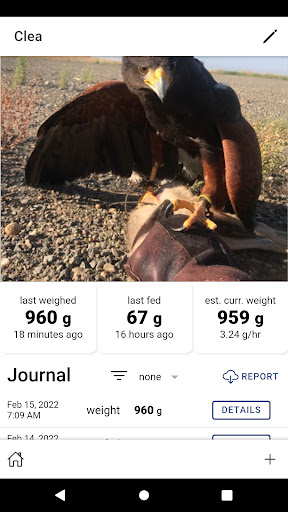 Falconry Journal for PC / Mac / Windows 11,10,8,7 - Free Download ...