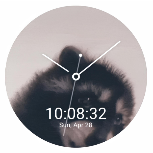 Pedro Raccoon Watch Face - Apps on Google Play