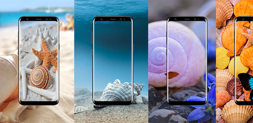 Shells Wallpapers 4K Android App