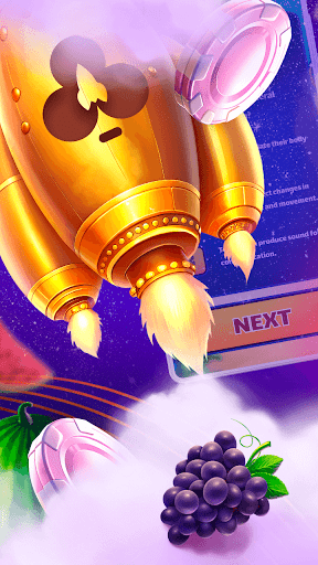 Baixar Big Rocketplay para PC - LDPlayer