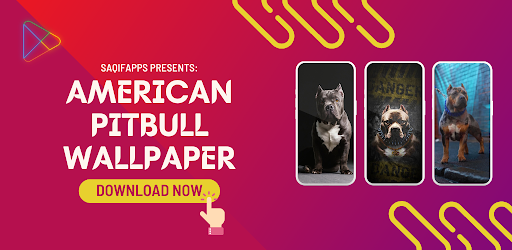 American Pitbull Wallpaper Android App