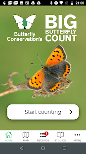 Big Butterfly Count - Apps on Google Play