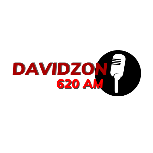 Davidzon radio store