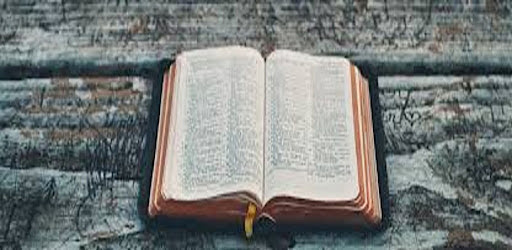 KJV Bible Pro Android App