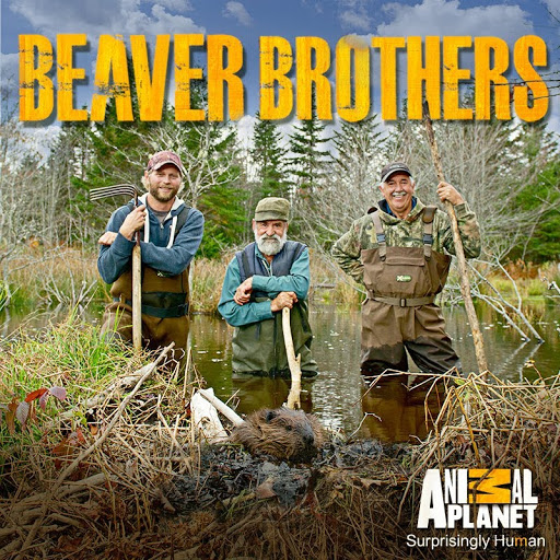 Beaver Brothers - TV on Google Play