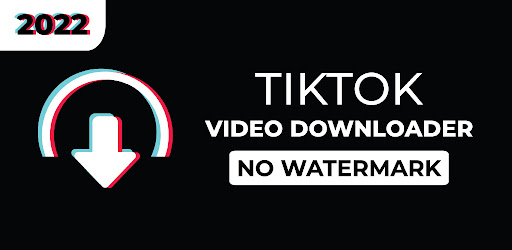 TT Downloader No Watermark FYP Android App