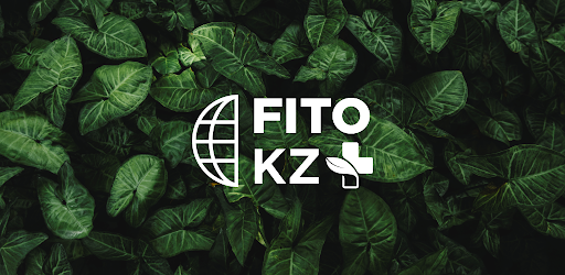 Fito KZ Android App