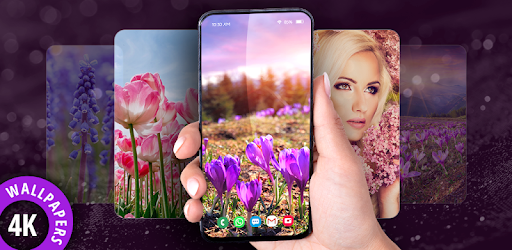 Spring wallpapers Android App