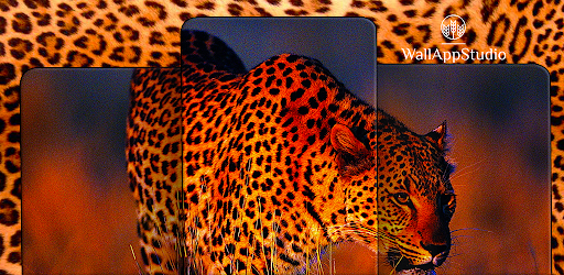 Leopard Wallpaper Android App