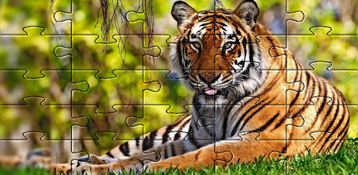 Tiger Jigsaw Puzzles Games Android App