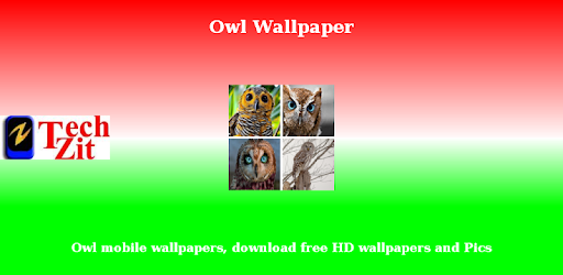 Owl HD Wallpapers Android App