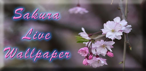 Sakura Wallpaper Android App