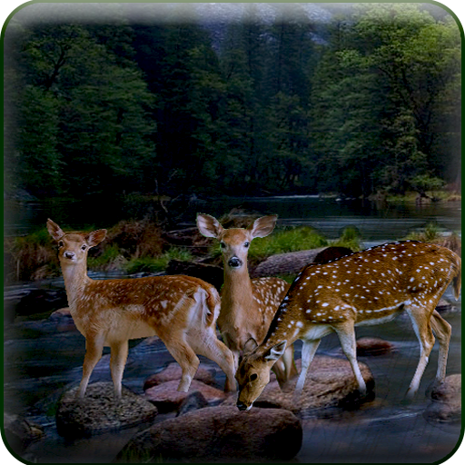 River Deer Live Wallpaper for PC / Mac / Windows 11,10,8,7 - Free ...