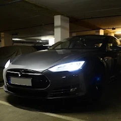 Scan my tesla model s store