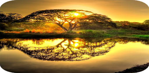 Sunrise Wallpaper Best HD Android App