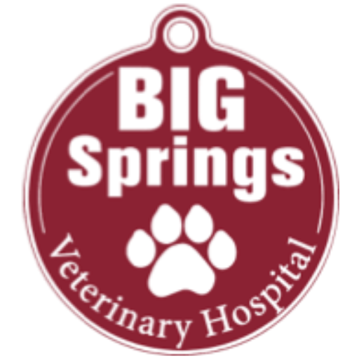 Big Springs Vet - Apps on Google Play
