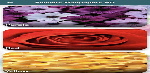 Flowers ‎Wallpaper ‎HD Android App