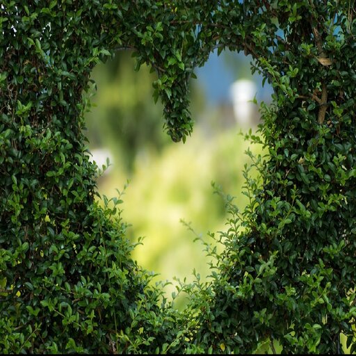 Green Backgrounds - Apps on Google Play