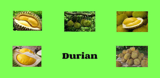 Durian Android App