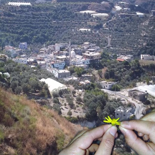 Android Apps by Mustafa Sakr on Google Play