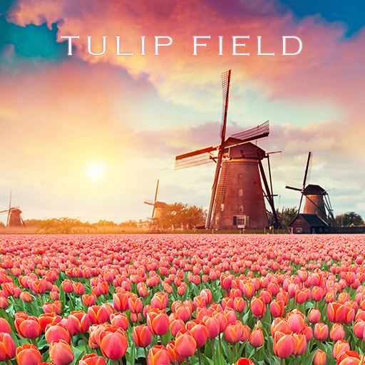 Tulip Field Theme +HOME - Apps on Google Play